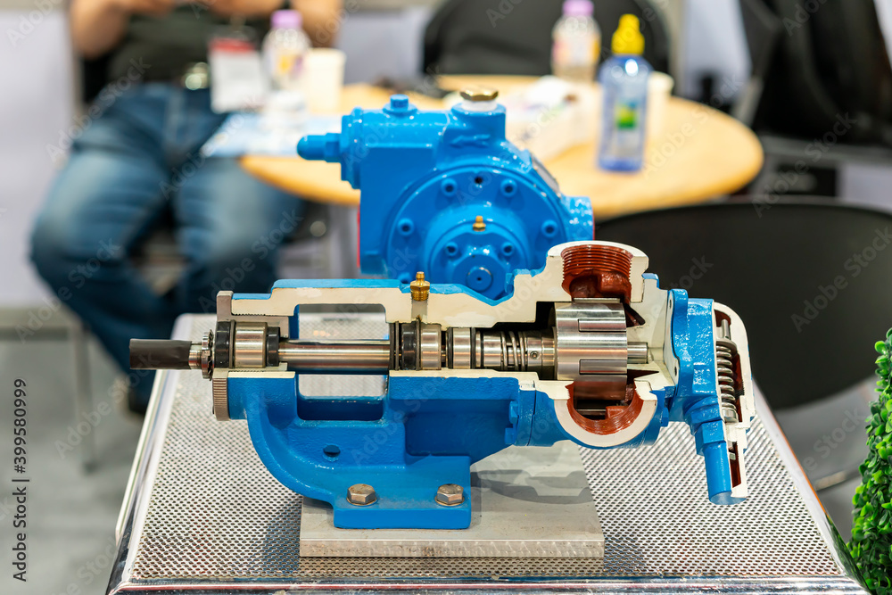 Cross section present detail in side of high pressure external gear ...