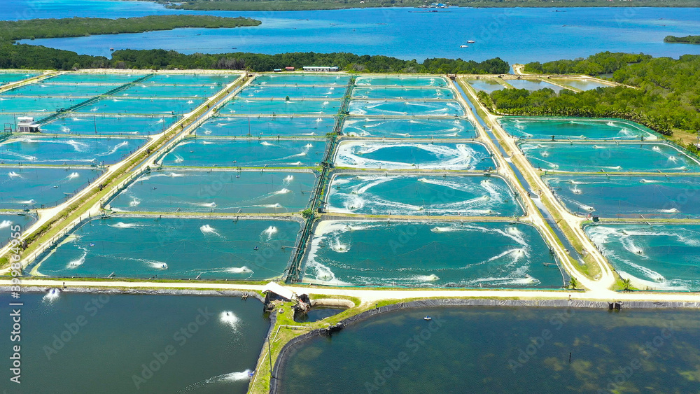 Aerial view of the prawn farm with aerator pump. Bohol, Philippines ...