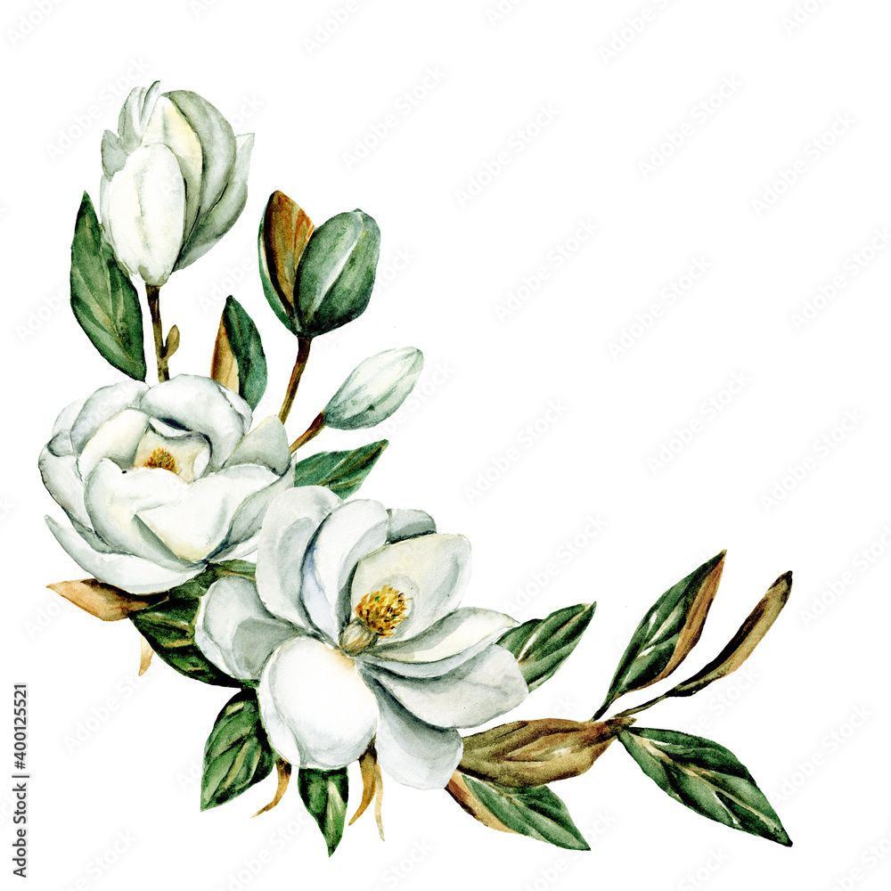 Magnolia Clip Art 217 Japanese Magnolia Tree High Res Illustrations