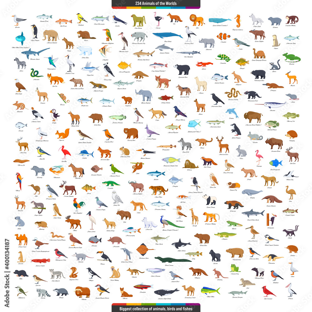 Animals of the World Big Collection. Animals, birds and fishes living ...