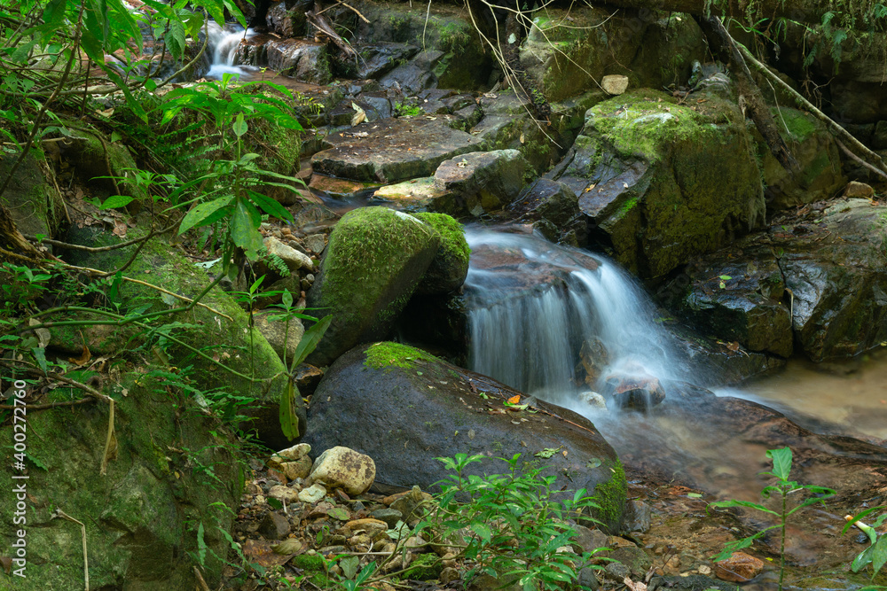Foto de Stock Paisagem de floresta na Serra do Mar no Paraná, Brasil ...