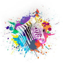 Zebra Paint Splatter Colourful Gratis Stock Foto - Public Domain Pictures