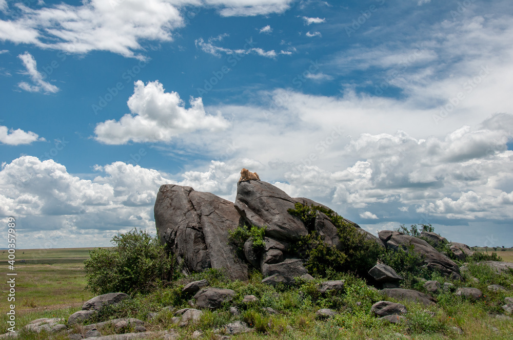 Pride Rock over the endless plains of Serengeti Stock Photo | Adobe Stock