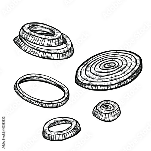 Vector sketch illustration of onion rings drawing isolated on white ...
