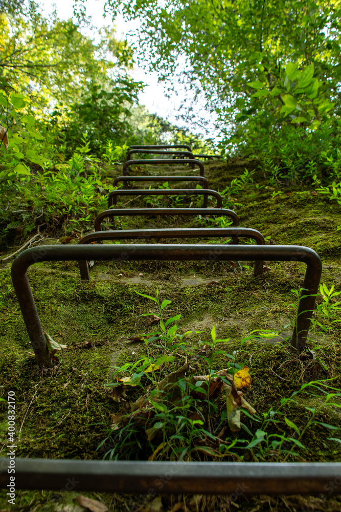 Photo Stock Iron ladders in the rock face on the natural bringe trail ...
