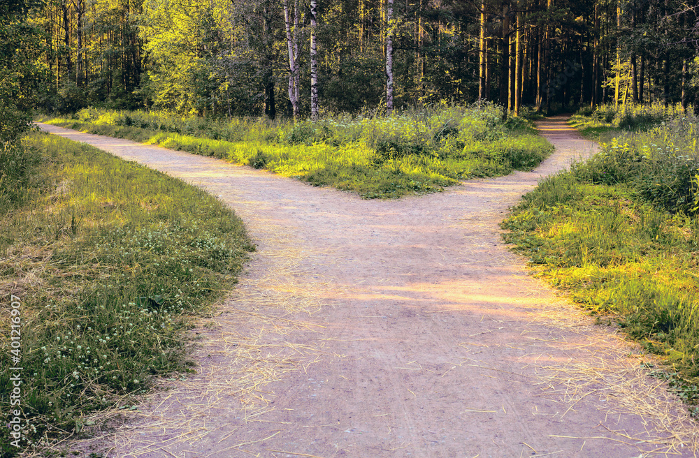 Divergence of paths. A wide alley in the park is divided into two paths ...