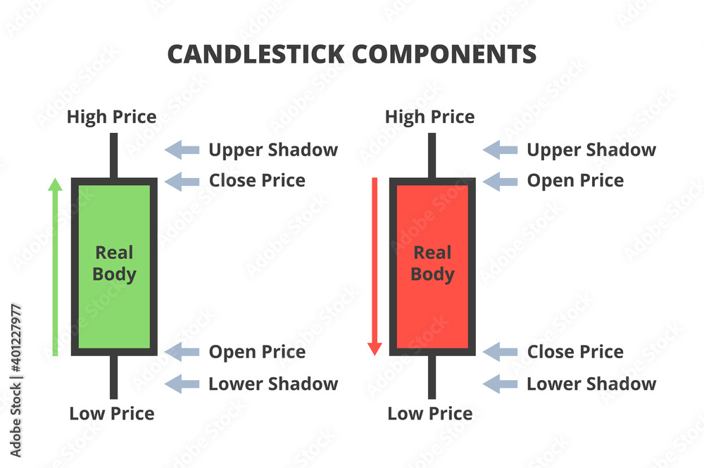 Vector illustration of candlestick chart components. Composition of a ...