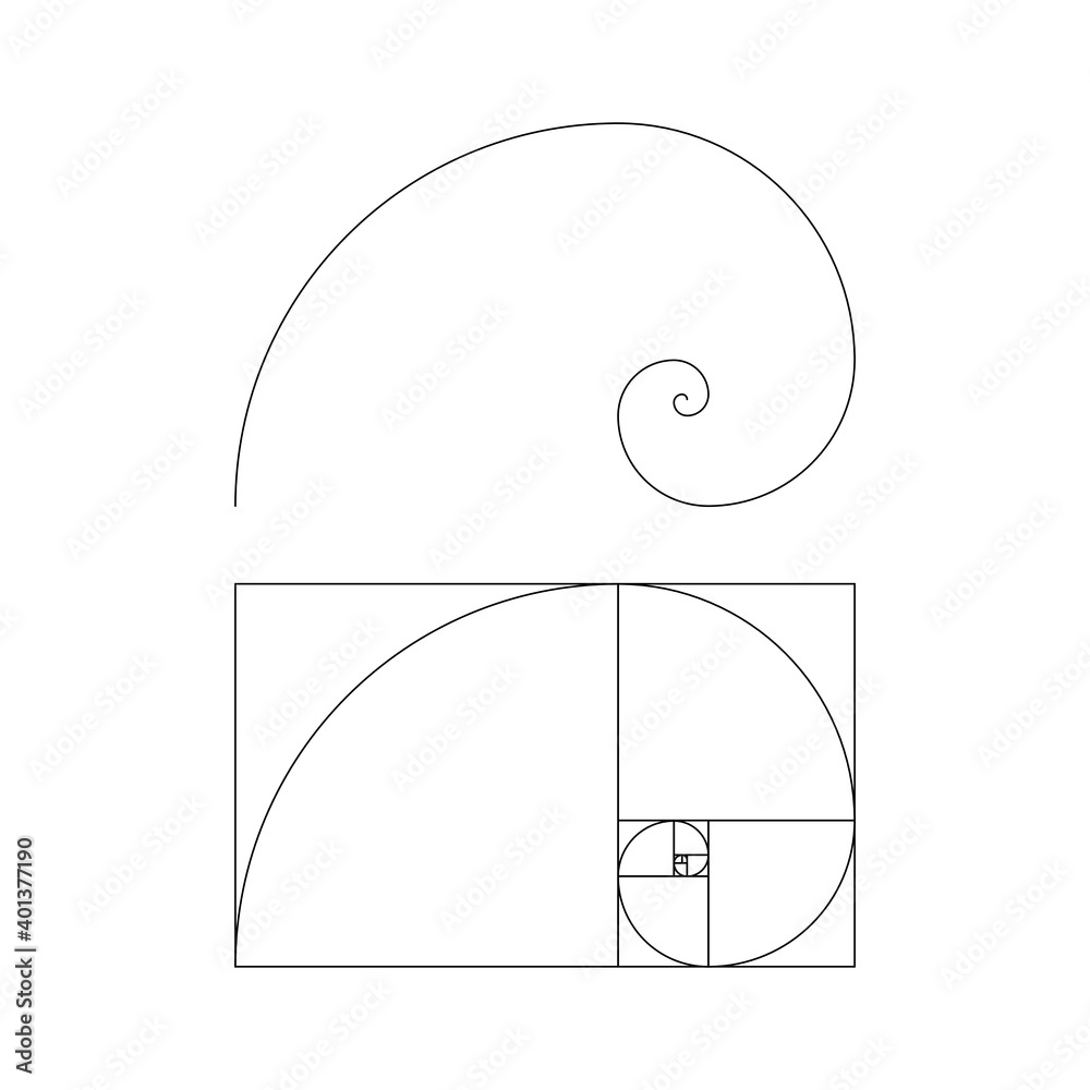 Golden ratio template vector, Divine Proportions, Golden Proportion ...