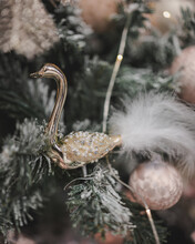 Swan And Christmas Tree Free Stock Photo - Public Domain Pictures