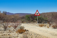 Mountain Lion Crossing Sign Free Stock Photo - Public Domain Pictures
