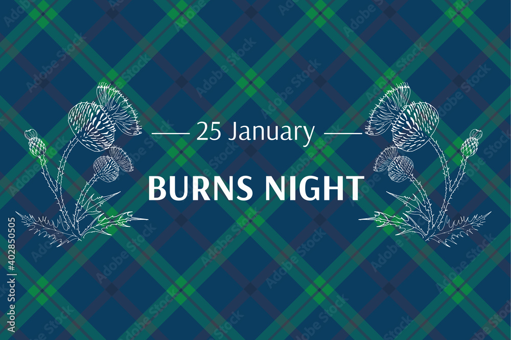 Burns night supper card. Thistle on tartan background. Burns Night ...