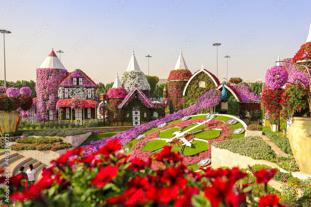 Dubai Miracle Garden is a flower garden with a wide variety of flowers ...