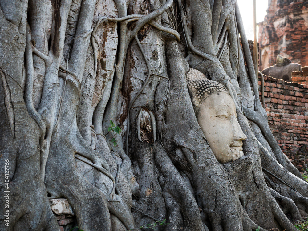 Buddha head in tree ayutthaya Thailand travel concept, Wat Mahathai ...