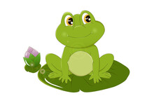 Blue-Eyed Frog Drawing Free Stock Photo - Public Domain Pictures