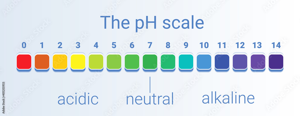 ph scale value. infographic acid-base balance. scale for chemical ...