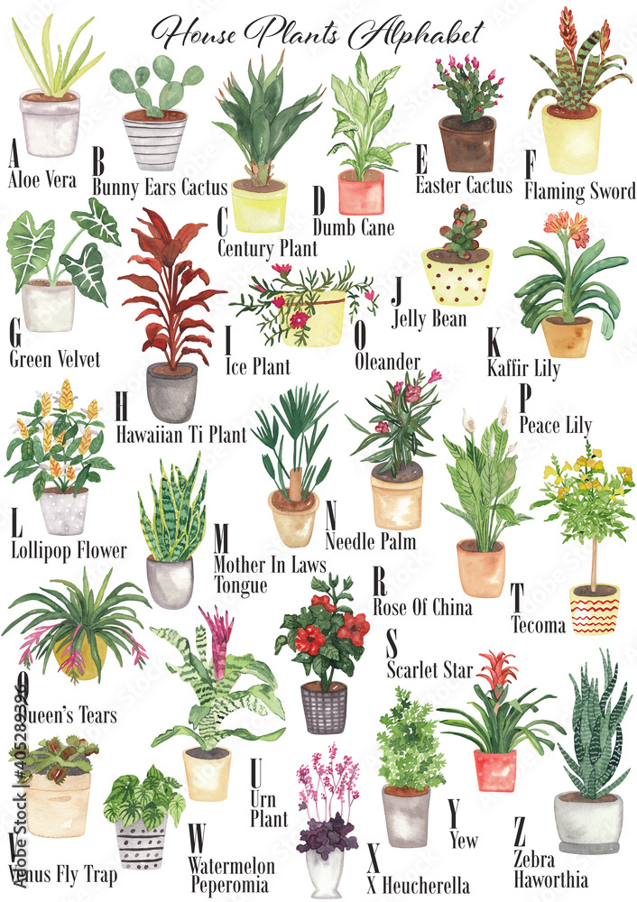 Watercolor House Plants Alphabet. Abc poster. Nursery wall art ...