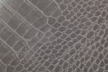 Gray Crocodile Skin Background Free Stock Photo - Public Domain Pictures