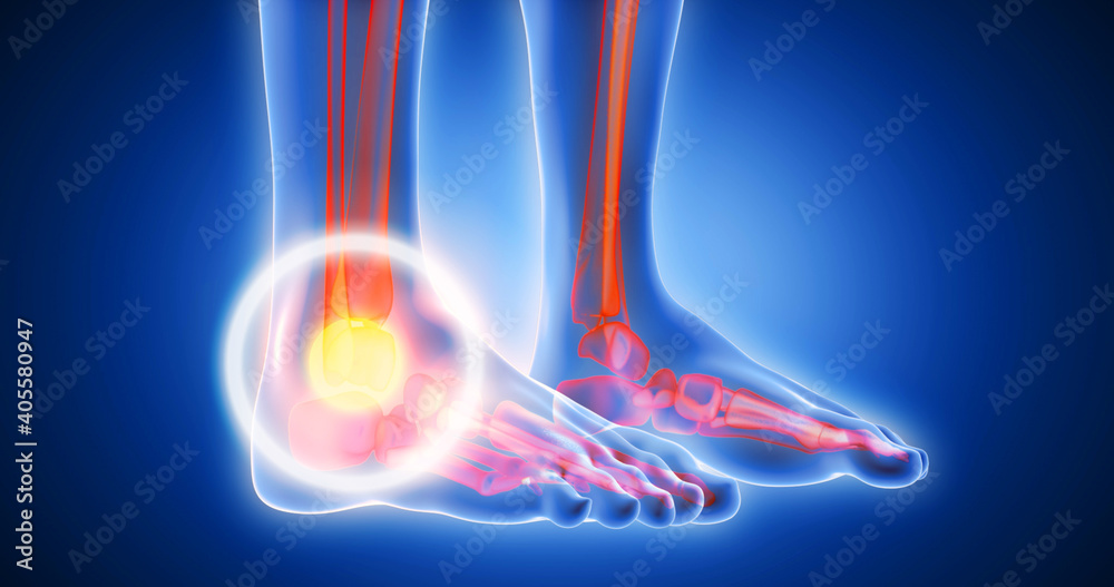 Leg pain, foot pain, human skeleton, bone scan, joint, medical screen 3D render, human anatomy ...