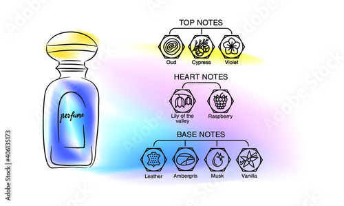 Aromatic structure notes guide for perfume, scent and aroma infographic ...