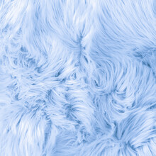Blue Fur Background Free Stock Photo - Public Domain Pictures
