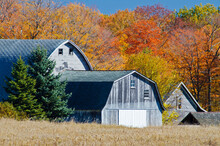 Autumn Fall Blue Barn Free Stock Photo - Public Domain Pictures