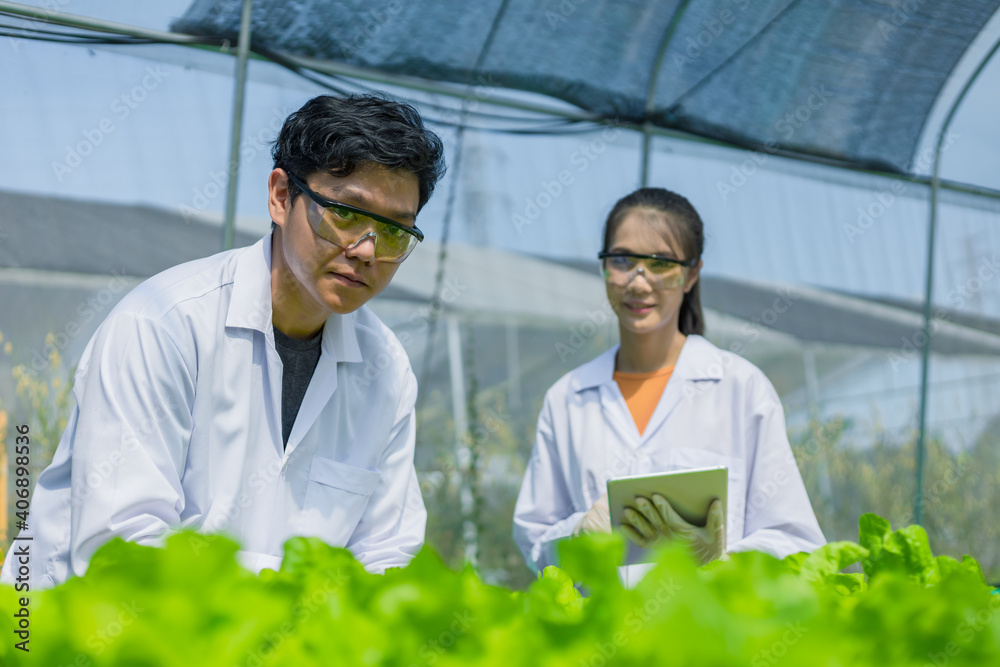 Scientists test the solution, Chemical inspection, Check freshness at ...