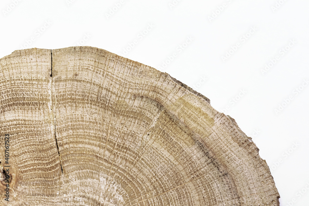 Wooden background with surface texture edge of natural polished sawn ...