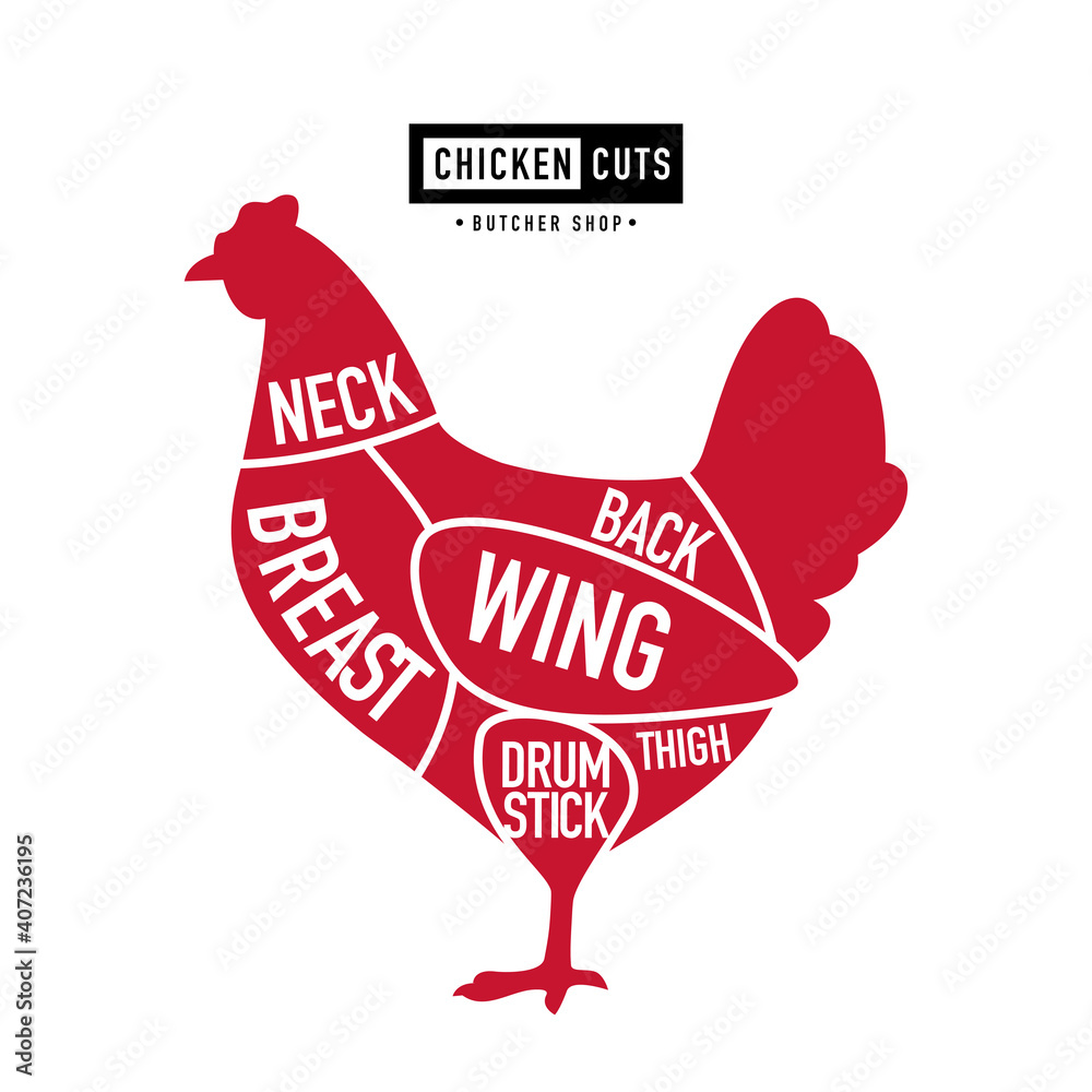 Chicken cuts. Diagrams and scheme for butcher shop. Farm animal ...