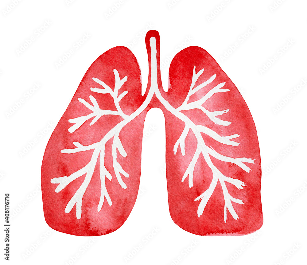 Watercolor illustration of stylized human lungs. Symbol of respiratory ...