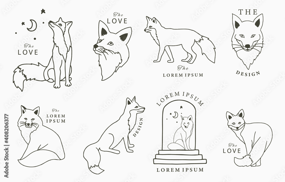 Black line collection with fox,moon.Vector illustration for icon ...