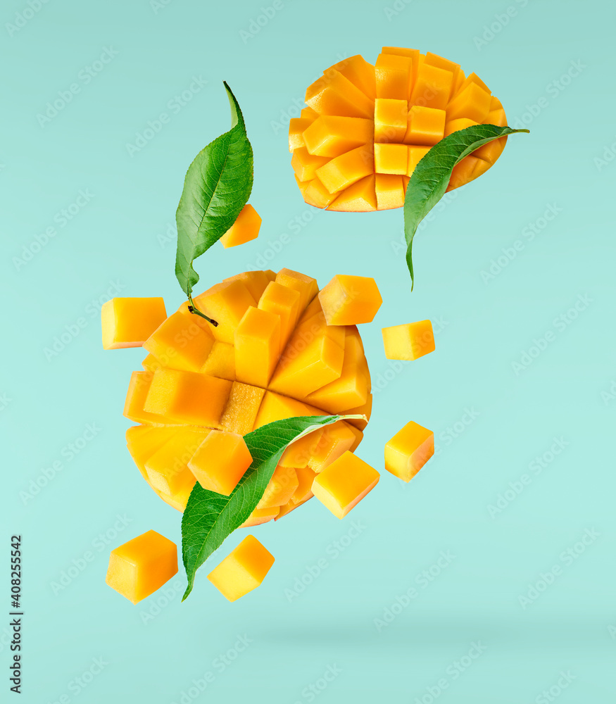 Fresh ripe mango falling in the air の Stock フォト | Adobe Stock