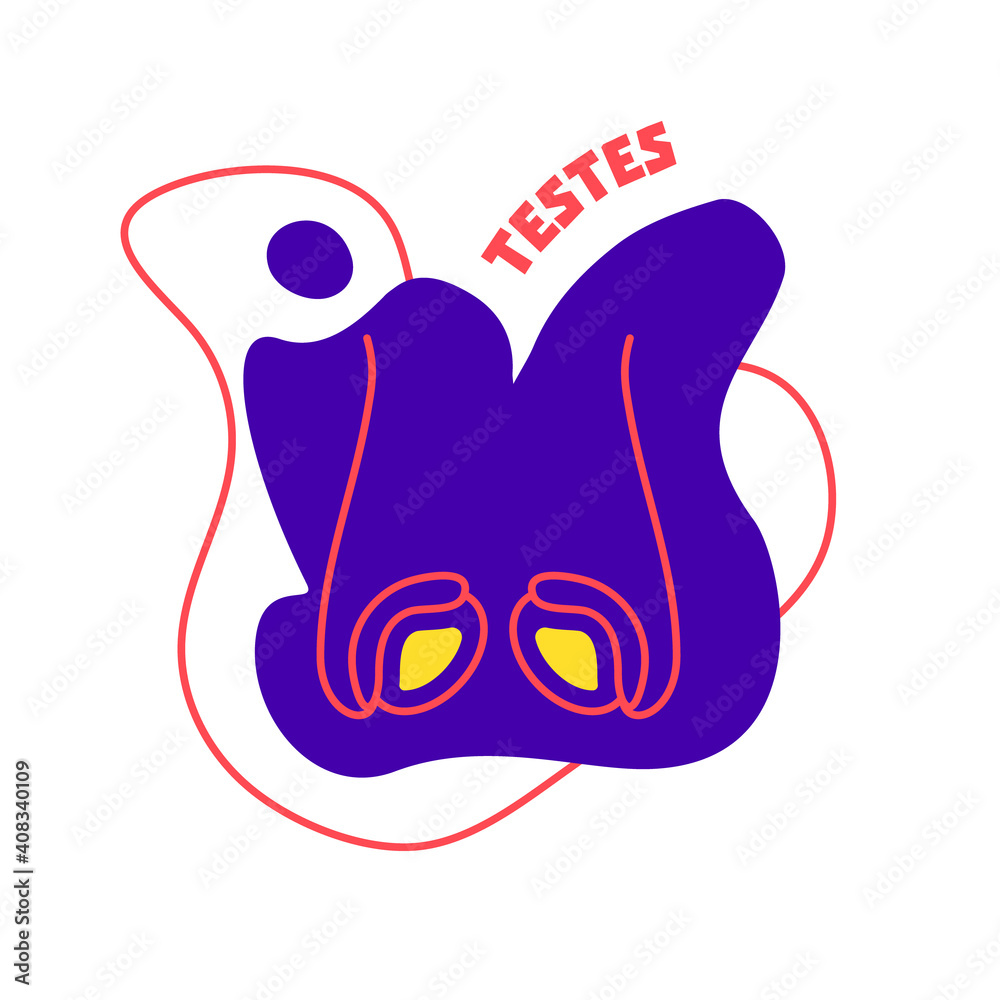Testes endocrine and male reproductive systems body organ outline icon ...