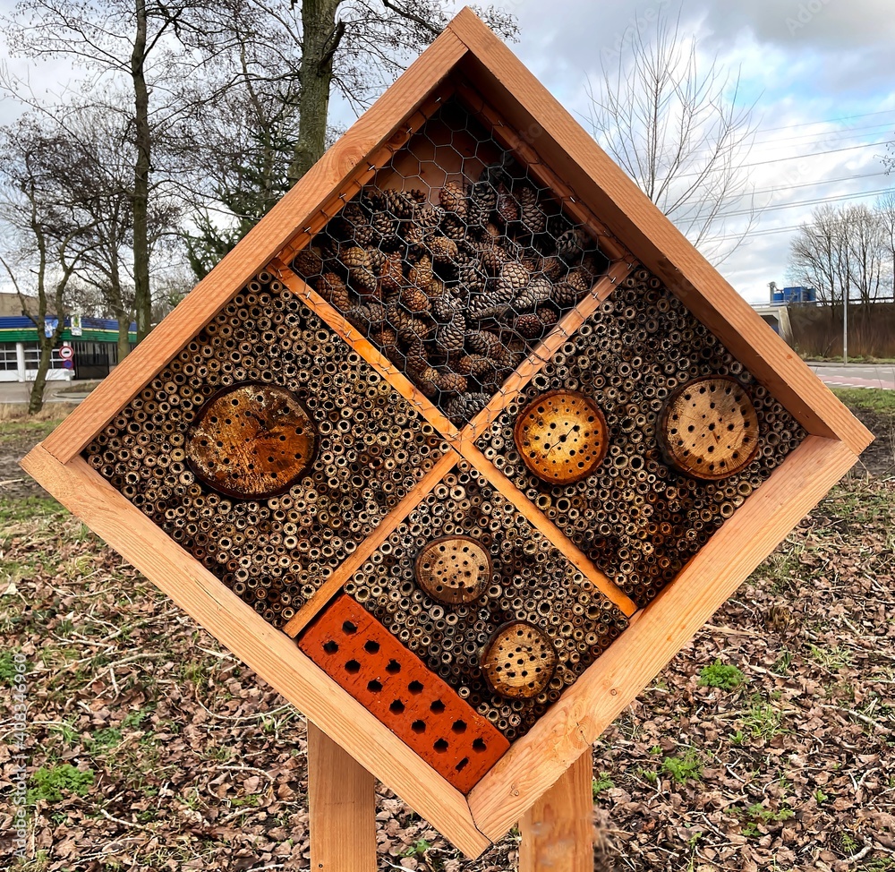 Insect hotel for stimulating biodiversity on behalf of climate ...
