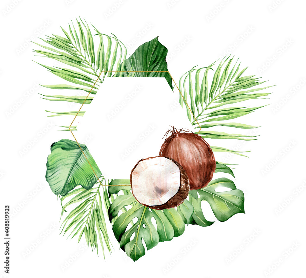 Coconut watercolor clipart, Modern tropical clipart coconut png, Palm ...