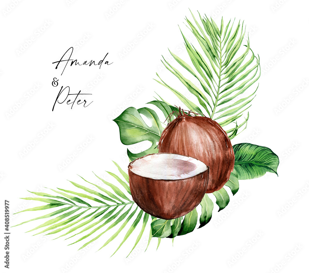 Coconut watercolor clipart, Modern tropical clipart coconut png, Palm ...