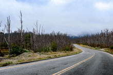Gray Haze Background Free Stock Photo - Public Domain Pictures