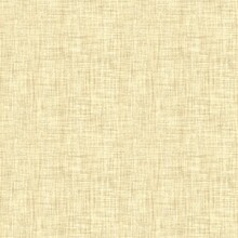 Soft Sandy Beige Background Free Stock Photo - Public Domain Pictures