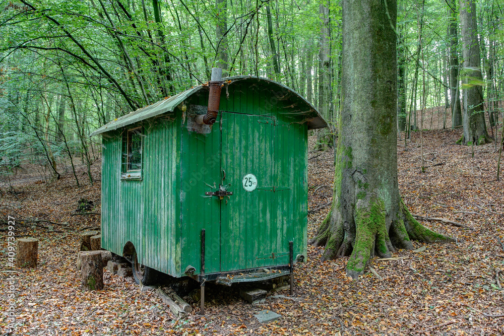 Forestry wagon in the forest. A forestry worker wagon is a mobile hut ...
