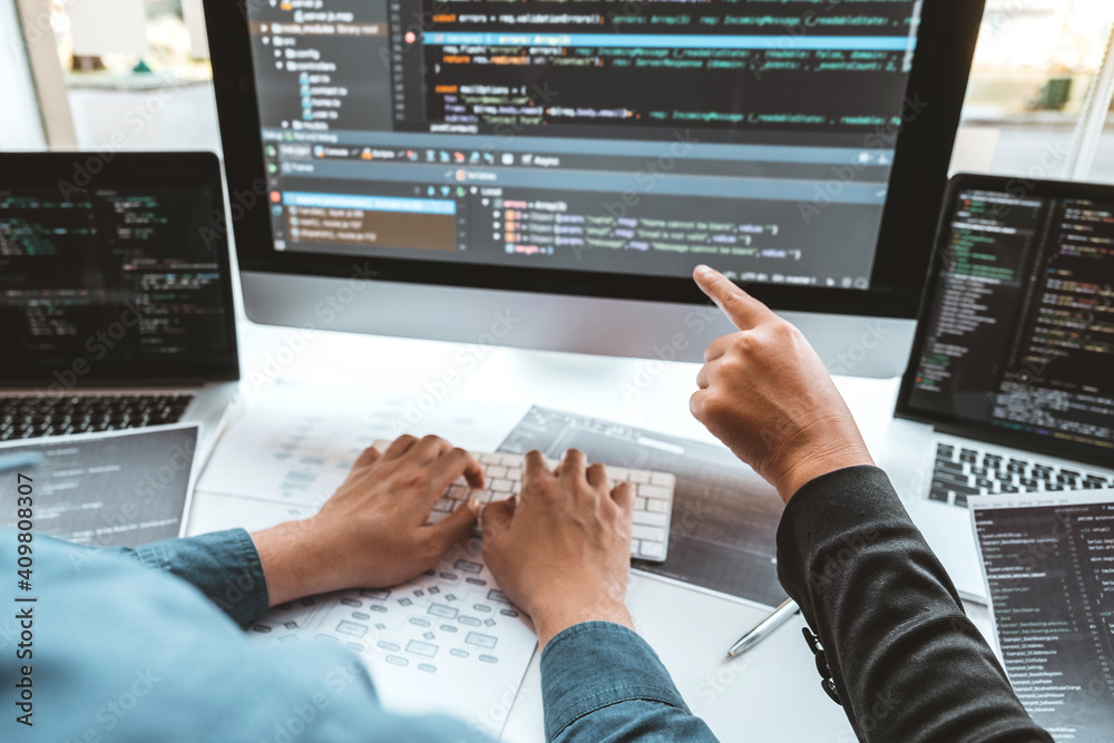 Developing programmer Development Website design and coding ...