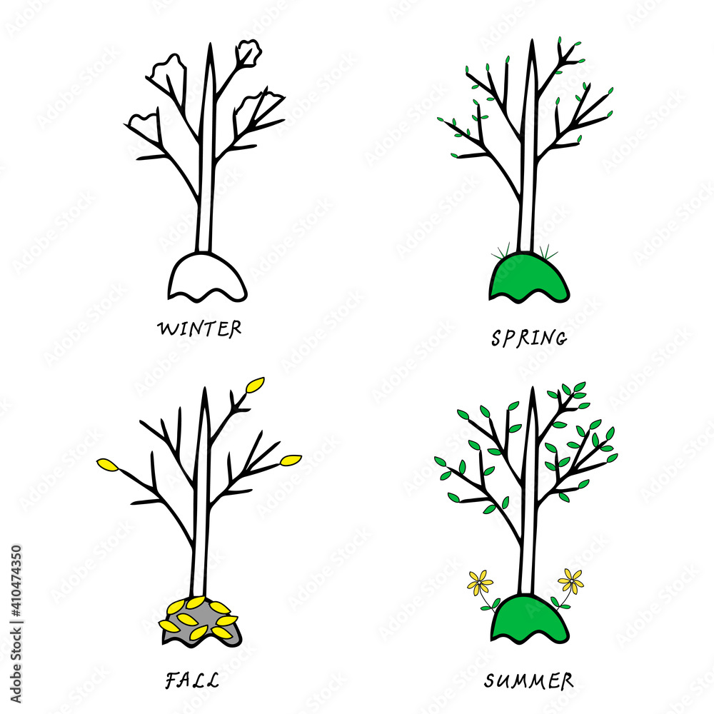 Black outline hand drawing vector illustration of a deciduous tree with ...
