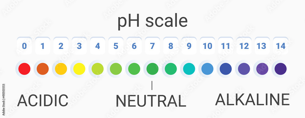 ph scale value. infographic acid-base balance. scale for chemical ...