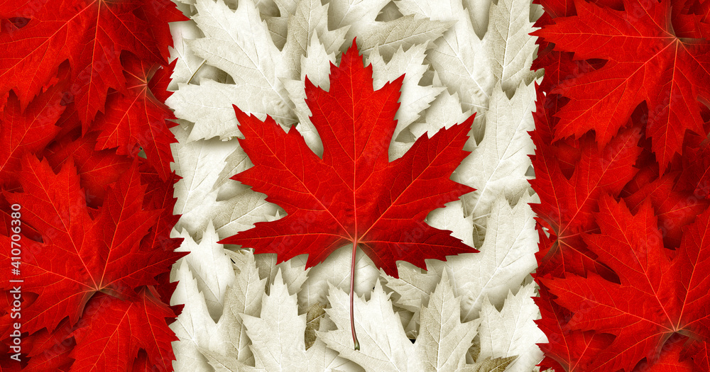 Canada leaf flag made with three dimensional illustration style as red ...