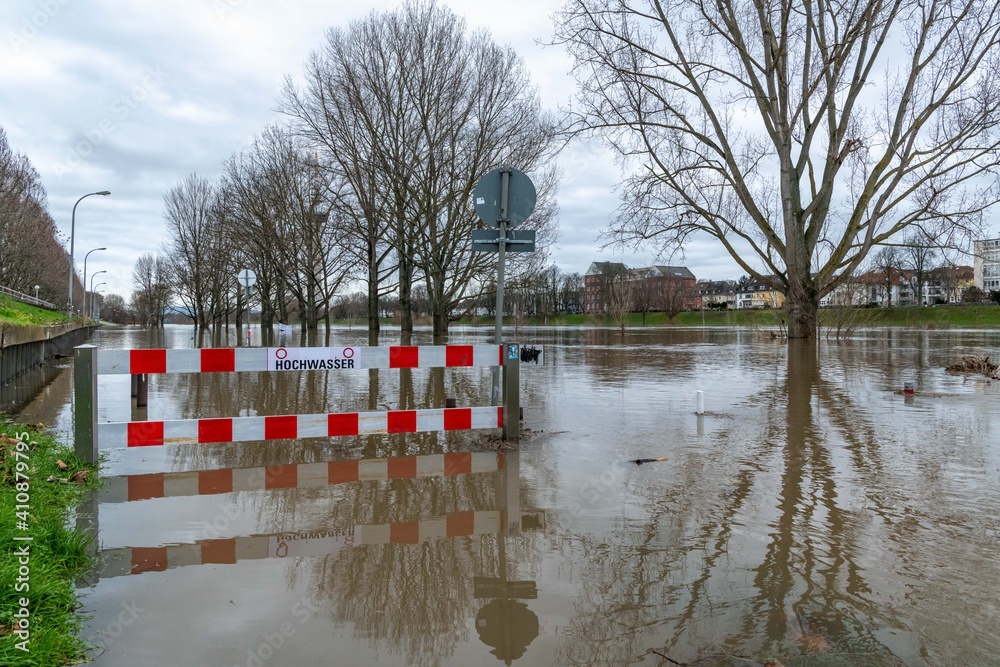 Фото Trees in the water, flood in Mannheim Germany, flood barrier ...