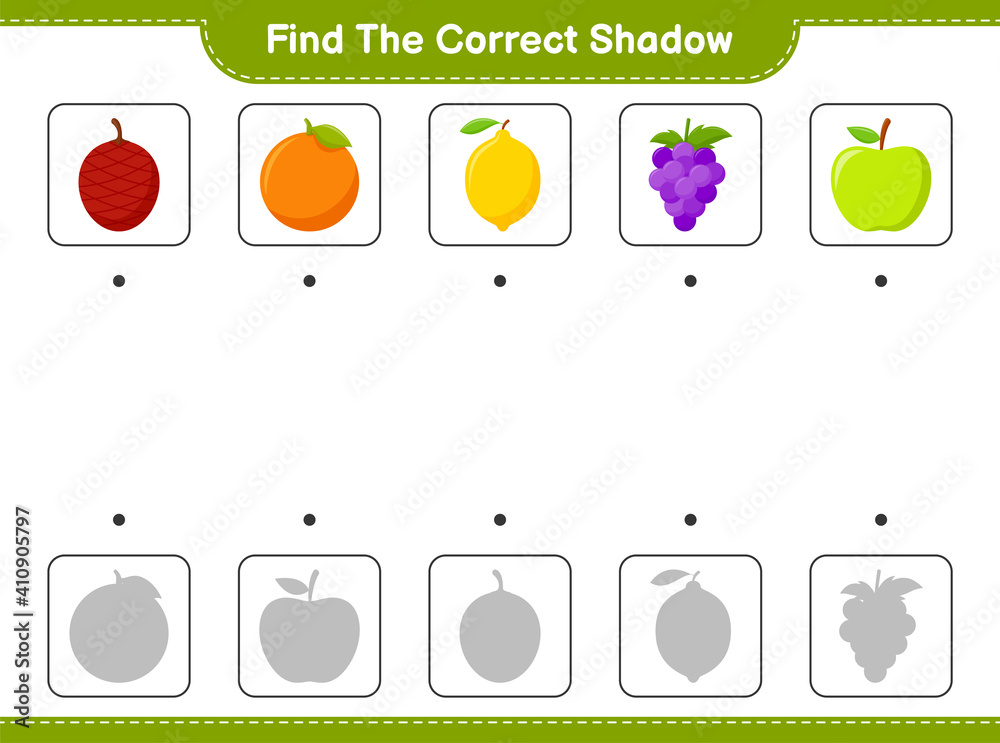 Find the correct shadow. Find and match the correct shadow of Fruits ...