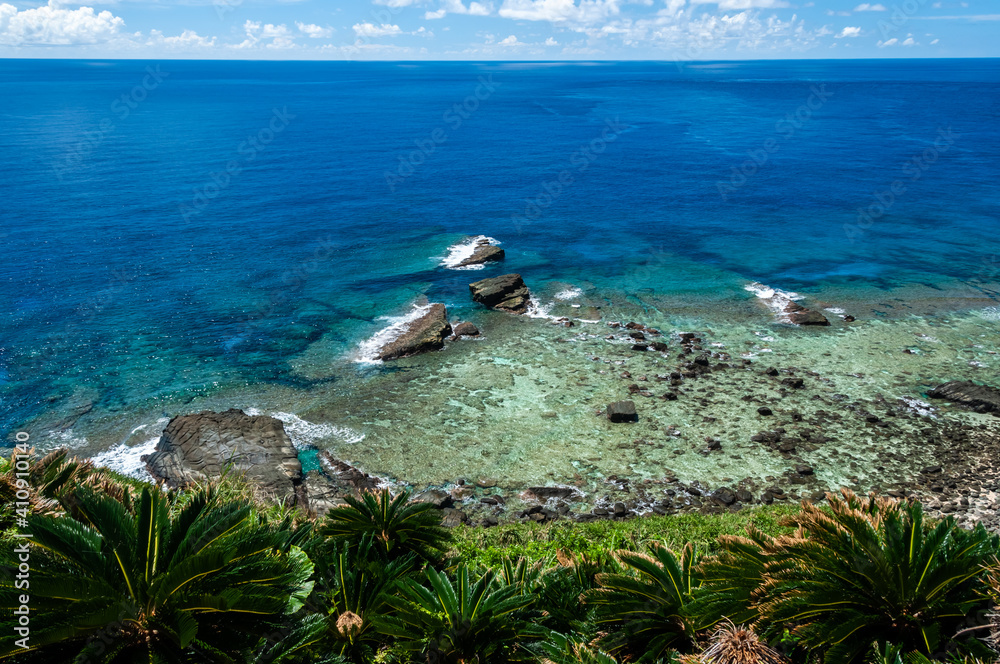 Stunning landscape seen from a cliff where you can see a lush coral ...