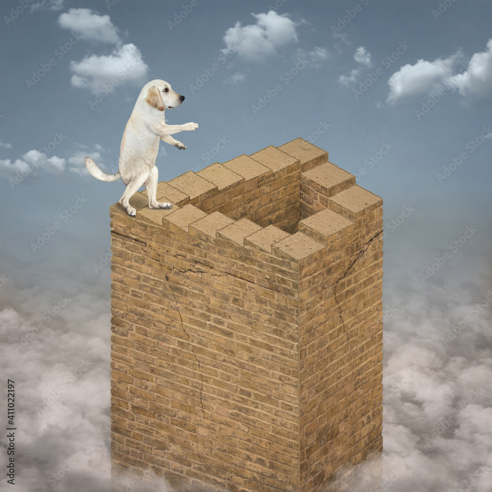 Stock-Foto „A dog labrador climbs up the endless stairs of a high brick ...
