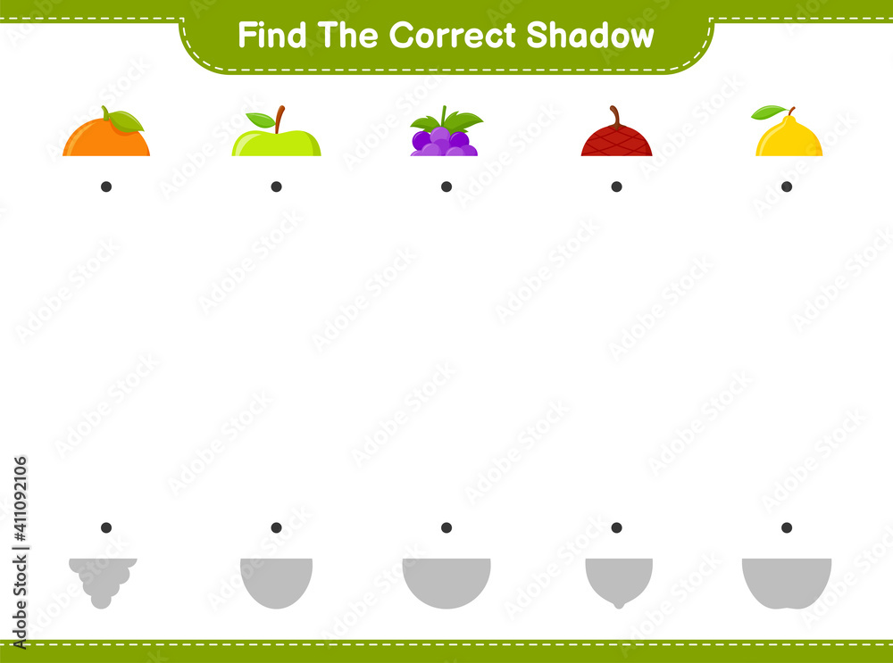 Find the correct shadow. Find and match the correct shadow of Fruits ...