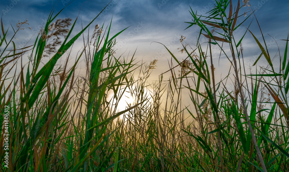 Beautiful nature image of lake near irkaya farm in Doha,Qatar Stock ...