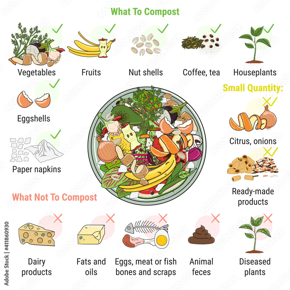 Infographic of composting bin with kitchen scraps. What to or not to ...