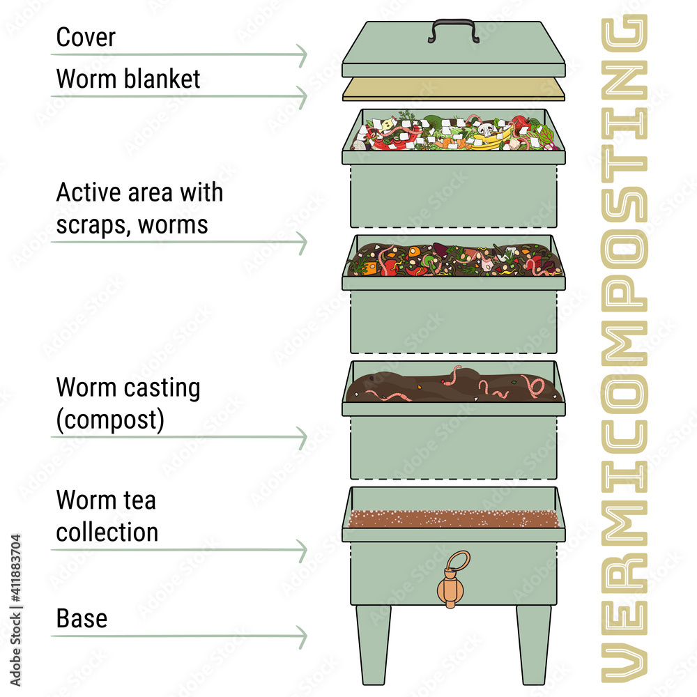 Infographic of vermicomposting. Components of vermicomposter ...